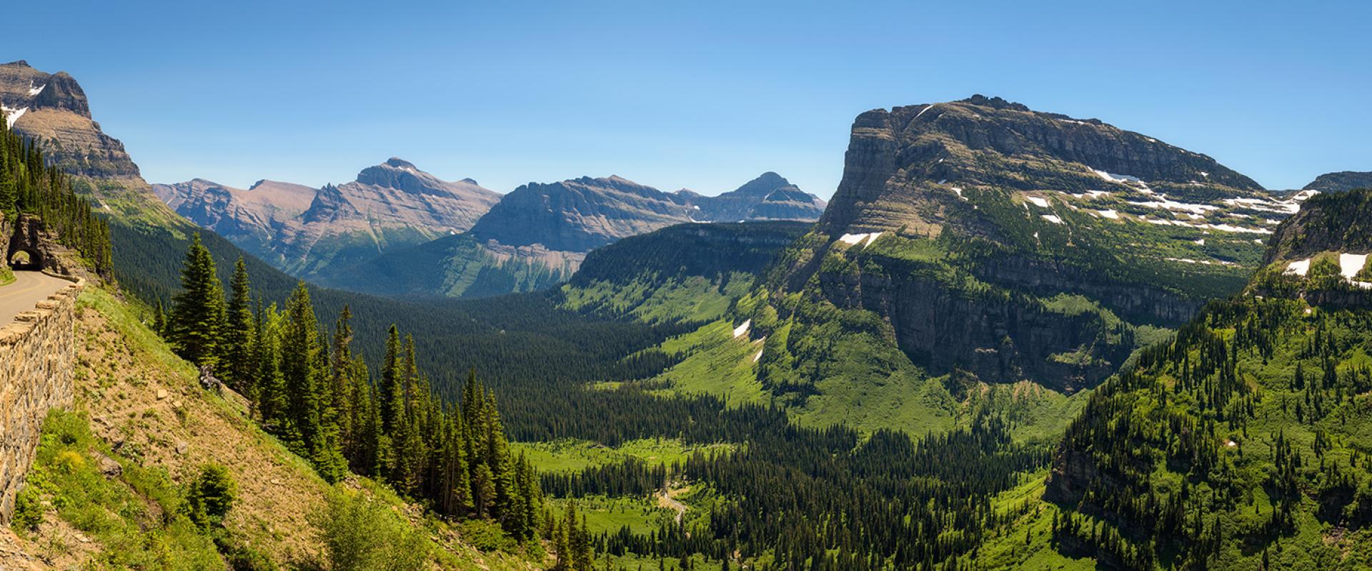 Matt Maloy, | The Investment Group